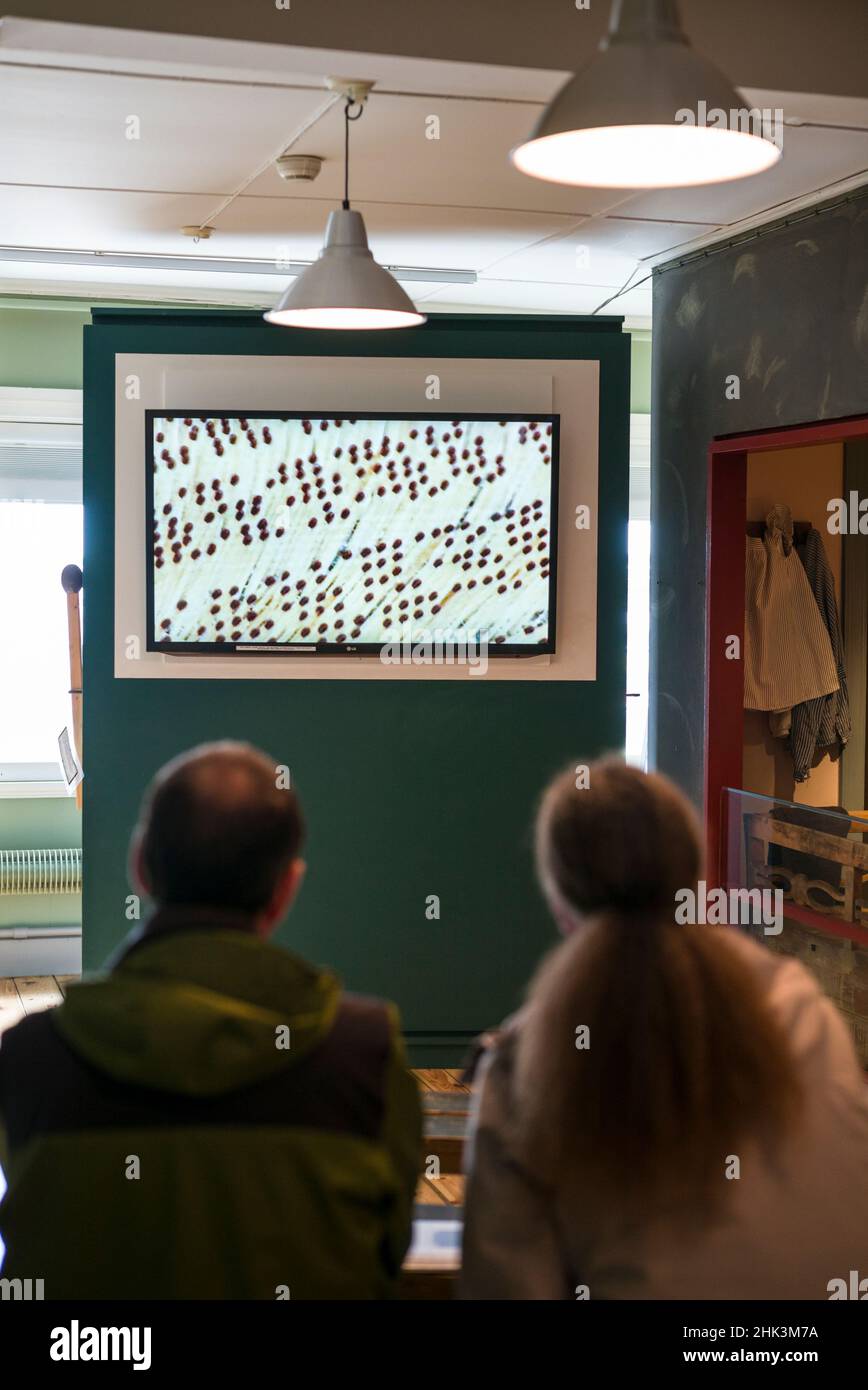 Sweden, Lake Vattern Area, Jonkoping, city where the match was invented ...