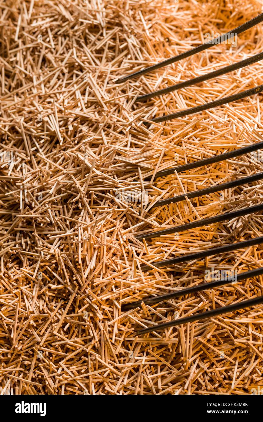 Sweden, Lake Vattern Area, Jonkoping, city where the match was invented ...