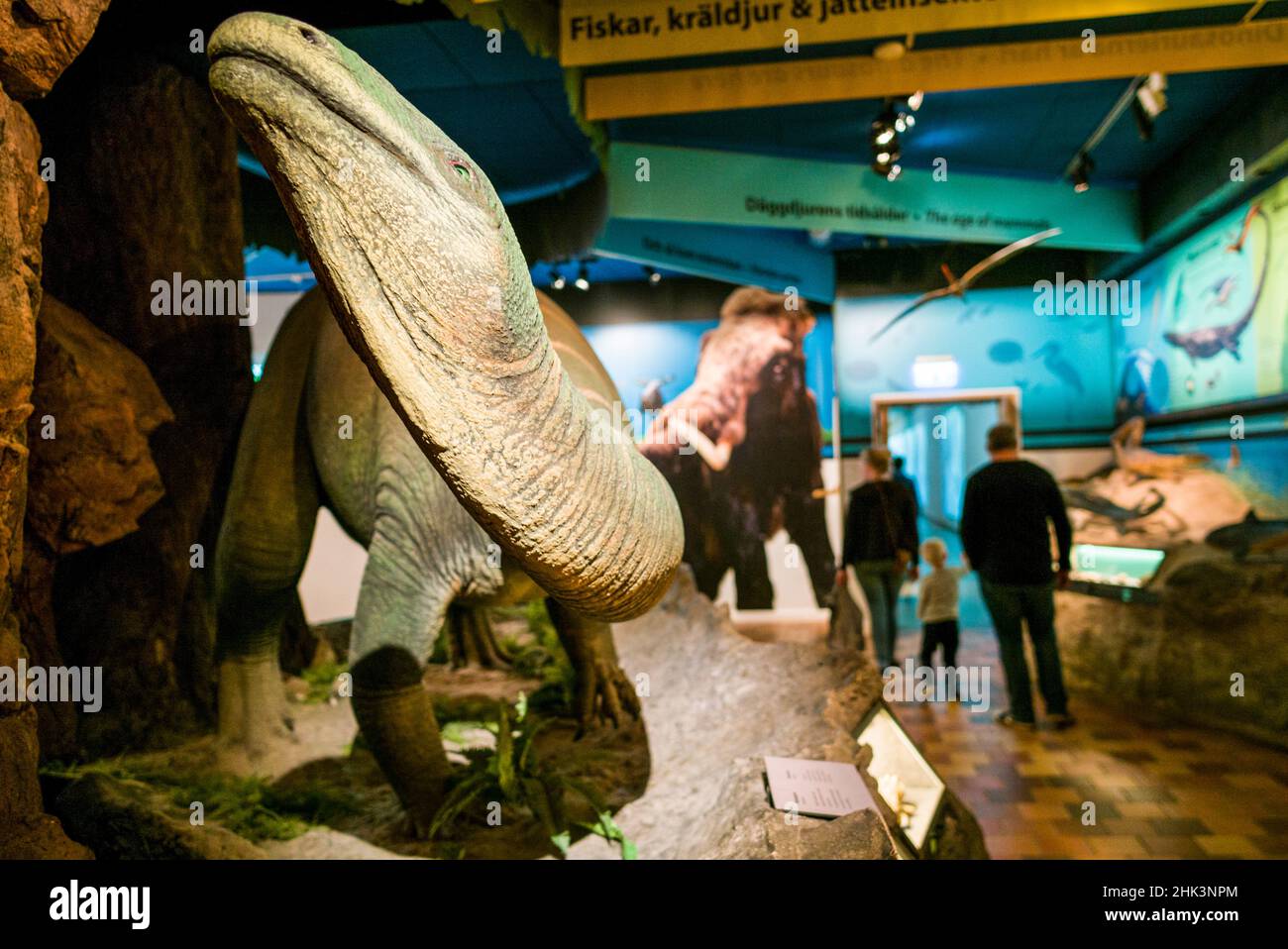 Sweden, Scania, Malmo, Malmo Museer Museums, dinosaur statue Stock ...