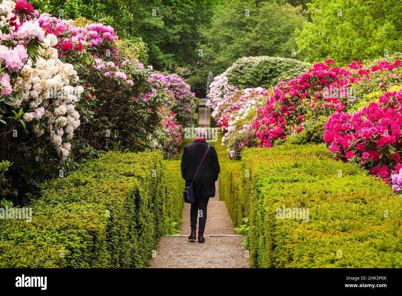 Sweden, Scania, Molle, Krapperups Slott castle, ancient home of the ...
