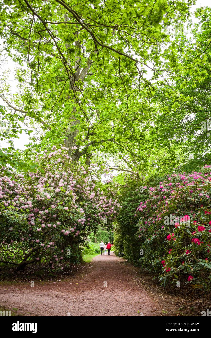 Sweden, Scania, Molle, Krapperups Slott castle, ancient home of the ...