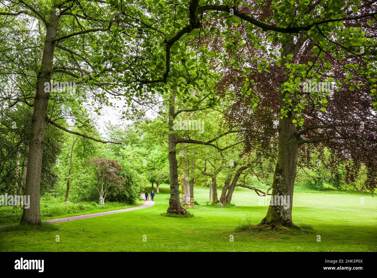 Sweden, Scania, Molle, Krapperups Slott castle, ancient home of the ...