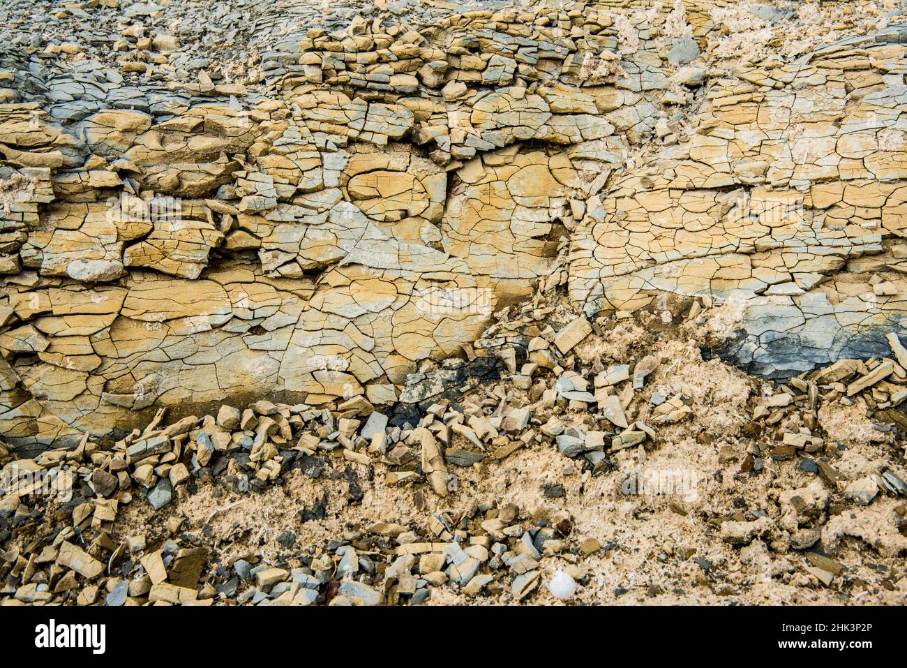 USA, California. Los Padres National Forest, dry stream bed due to ...