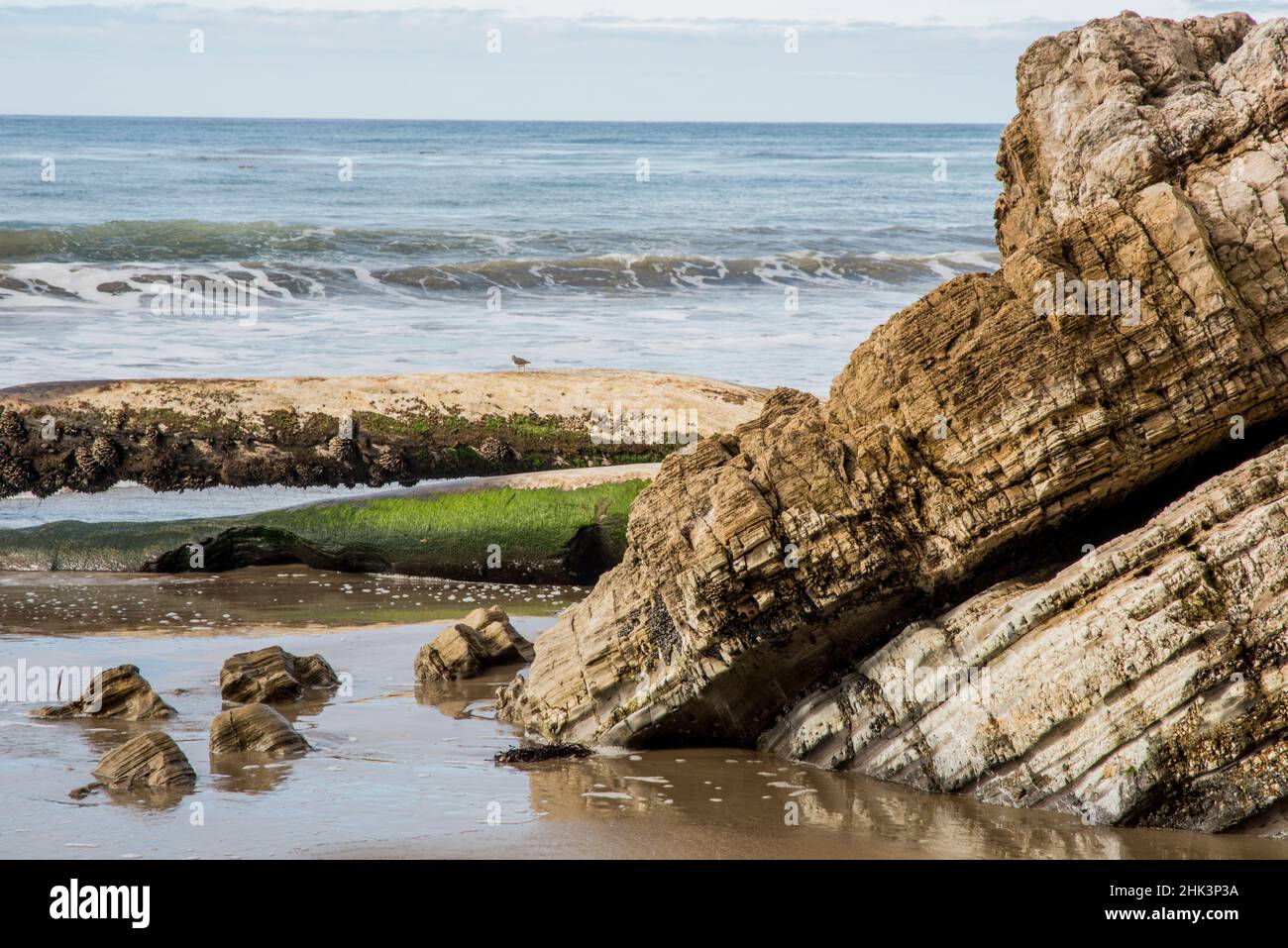 USA, California, Santa Barbara. Arroyo Burro Beach (aka Hendry's Beach ...