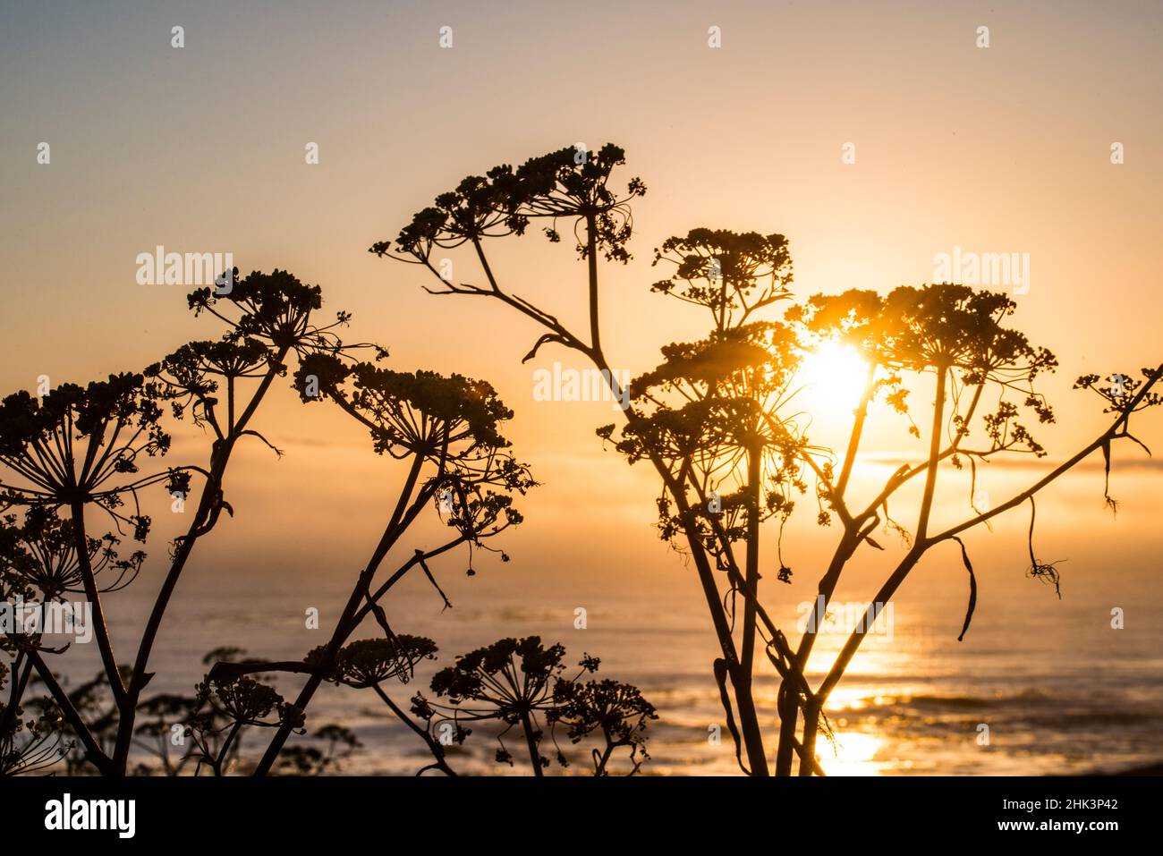 USA, California. Sunset over the Pacific Ocean, seen from Pacific Coast ...