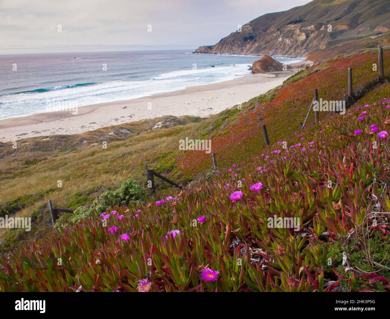 Big Sur Area, California, USA Stock Photo - Alamy