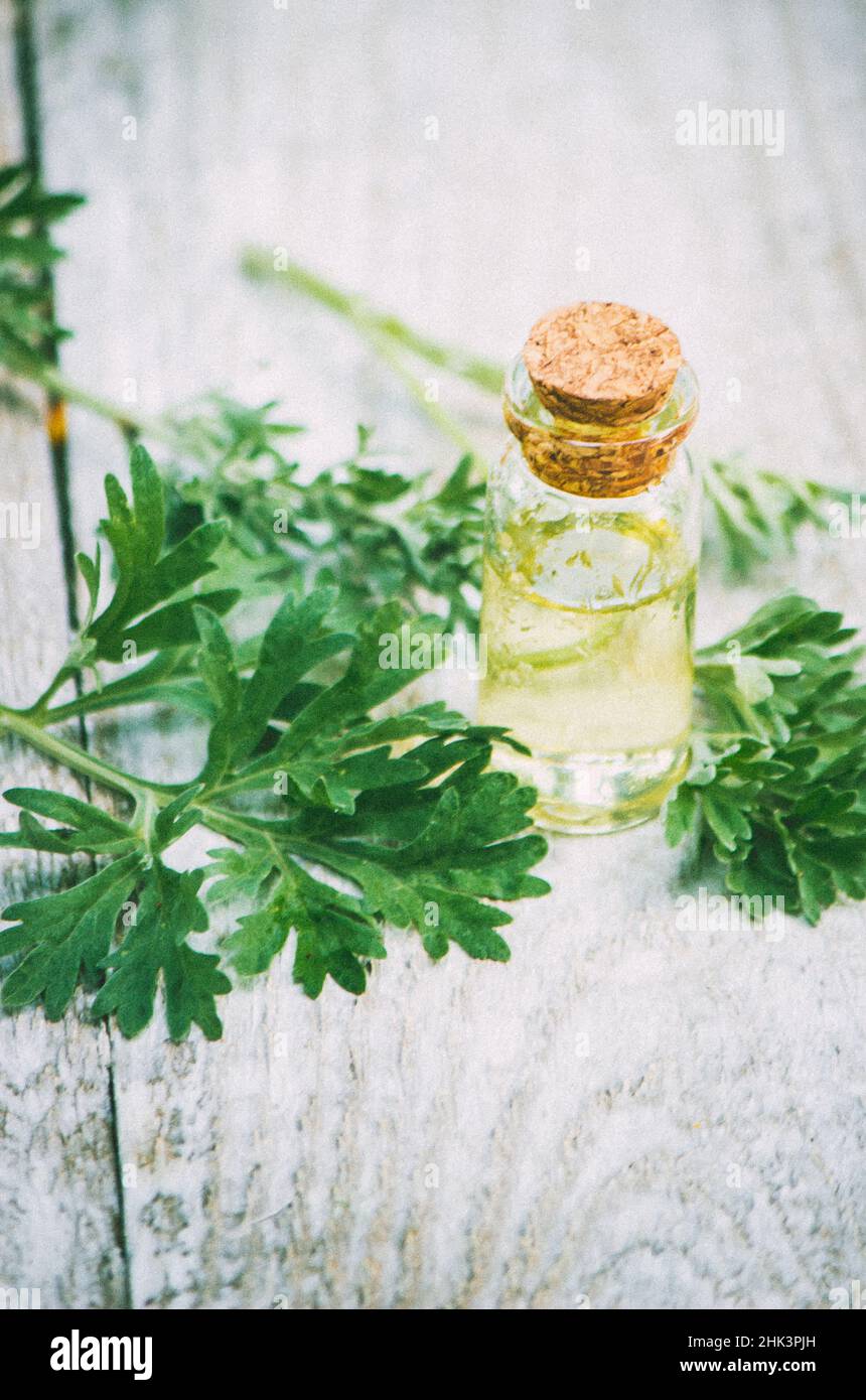 Wormwood extract hi-res stock photography and images - Alamy