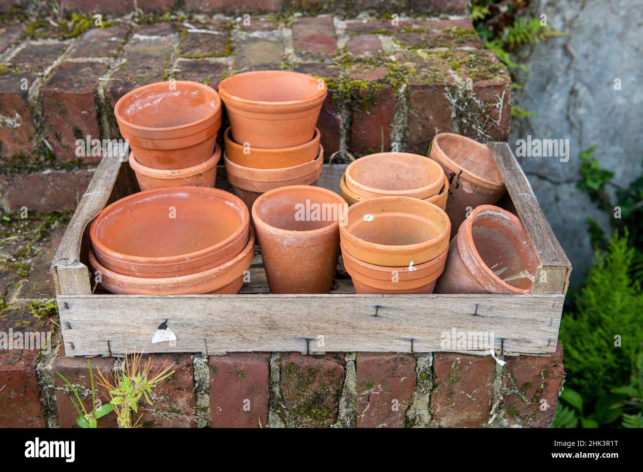Clay pots in a crate, summer, Pas de Calais, France Stock Photo - Alamy