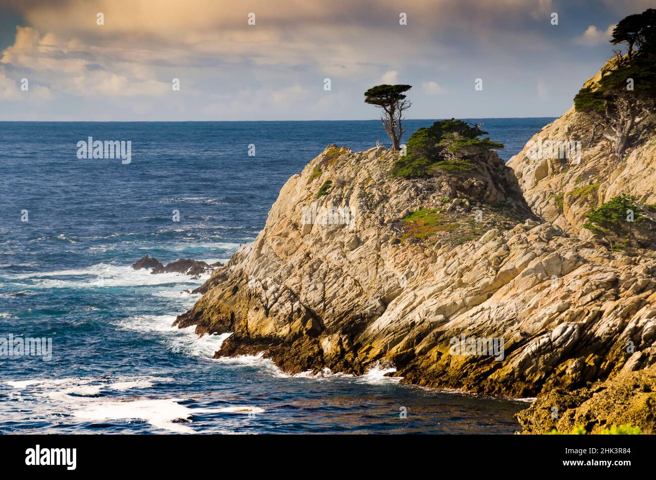 Cypress on Coastal Cliff, Point Lobos State Natural Reserve, California ...
