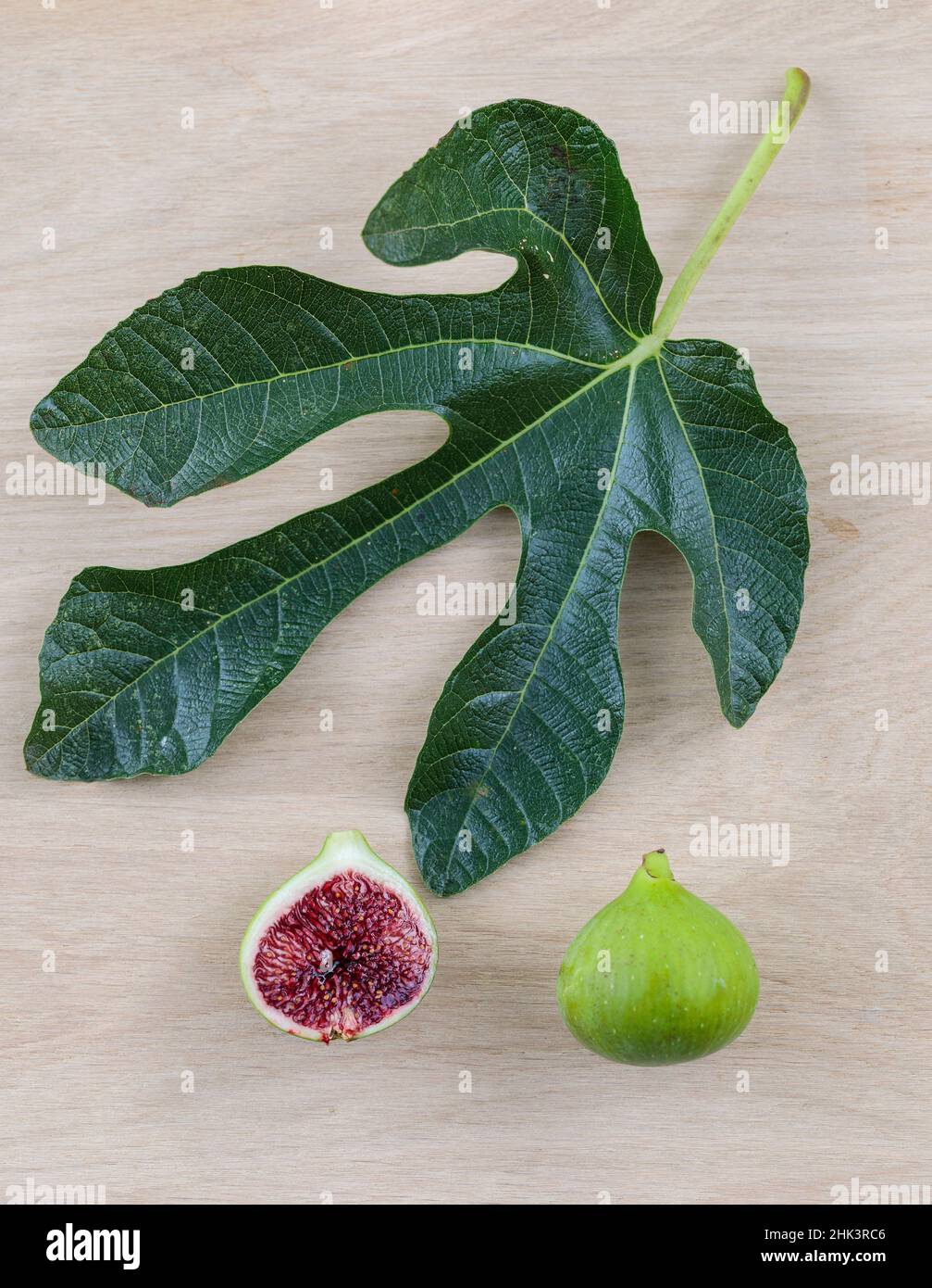 Leaf and fruit of the 'Green Sugar' fig, with large green fruit and red ...