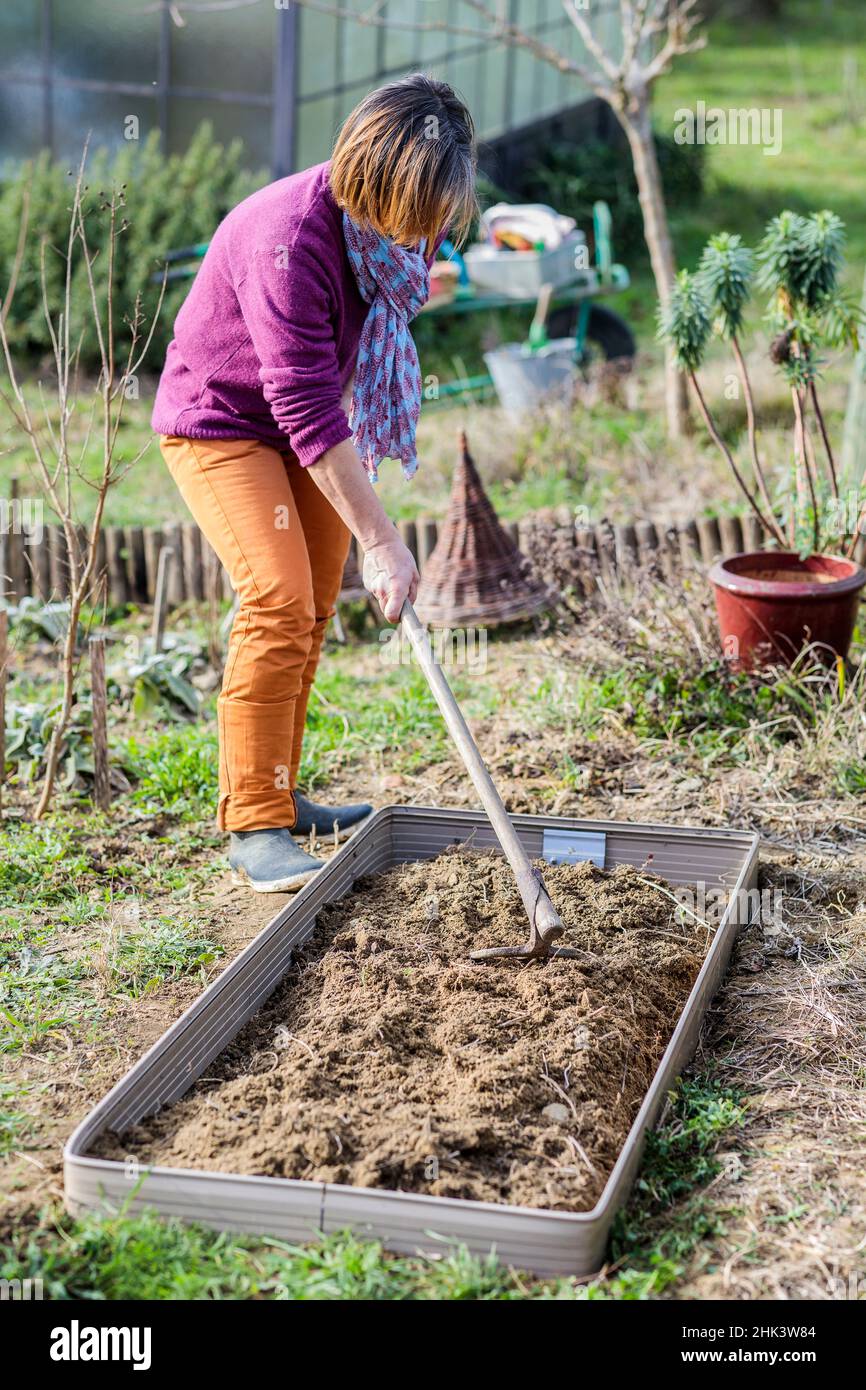Woman preparing a vegetable patch in late winter, step by step Stock ...
