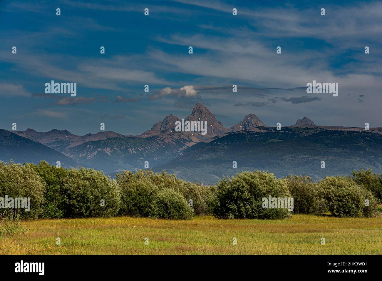USA, Idaho. wetland along Teton River, Grand Teton, and view of Teton ...