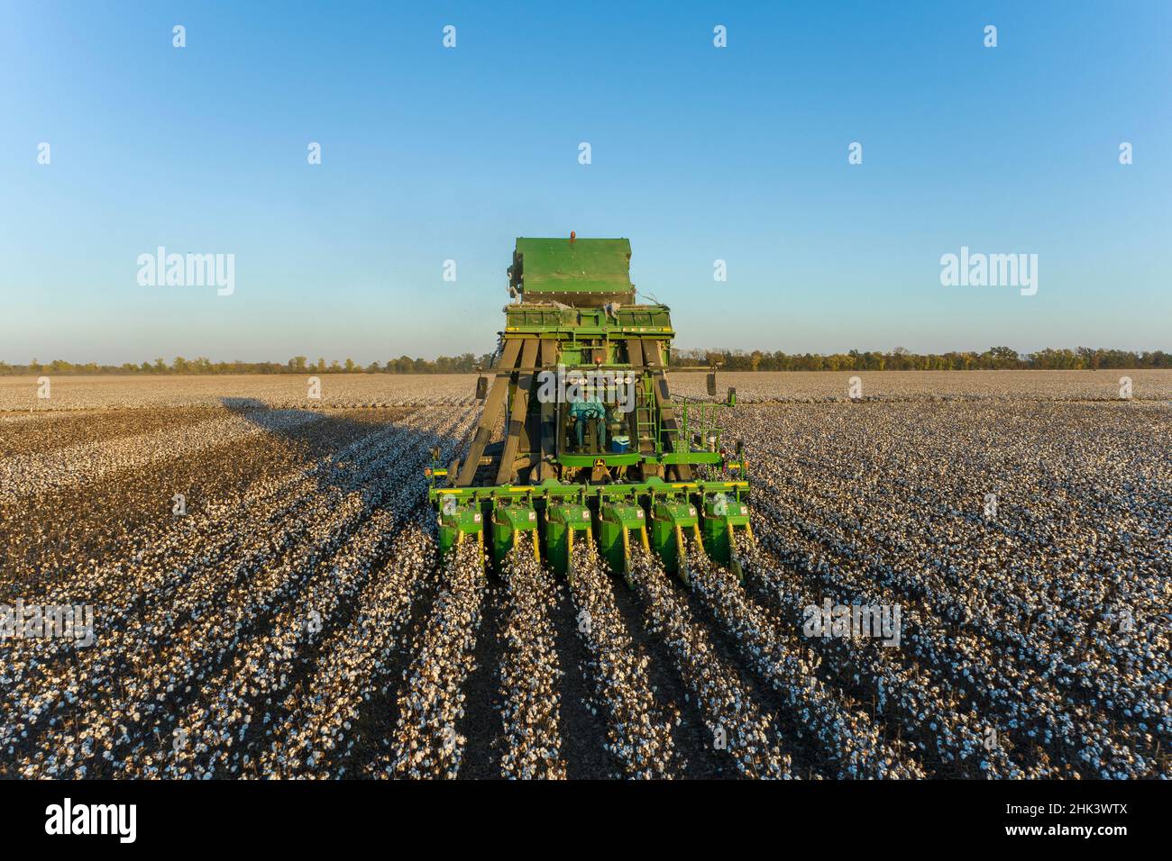 Cotton picker hi-res stock photography and images - Alamy