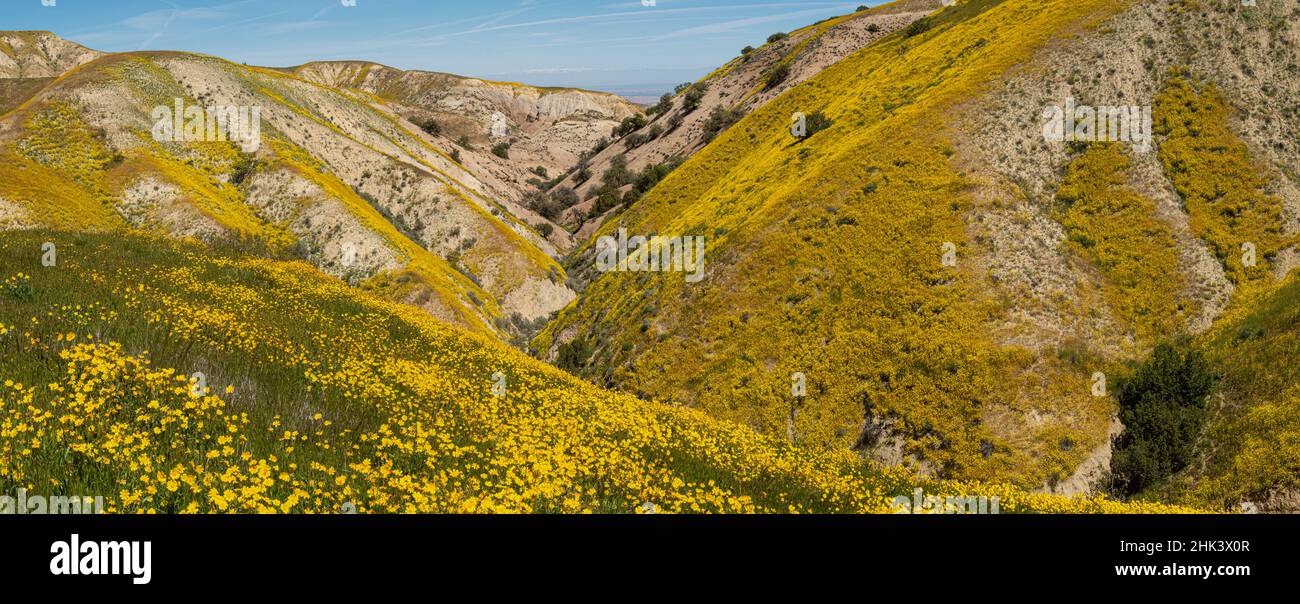 California, USA. Panoramic of Temblor Range and valley are covered with ...