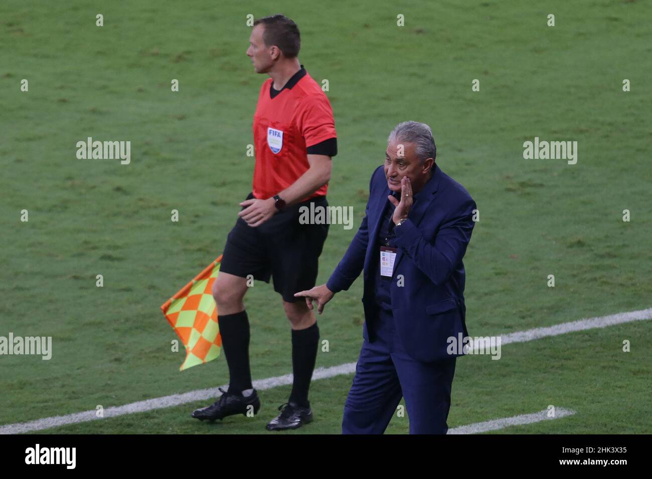 Técnico Tite do Brasil, durante a partida entre Brasil e Paraguai, pela ...