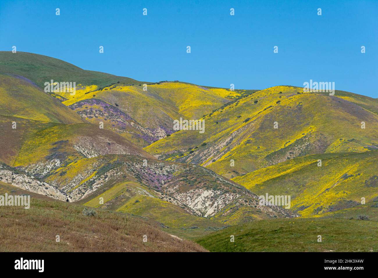 California, USA. Temblor Range and valley are covered with hillside ...
