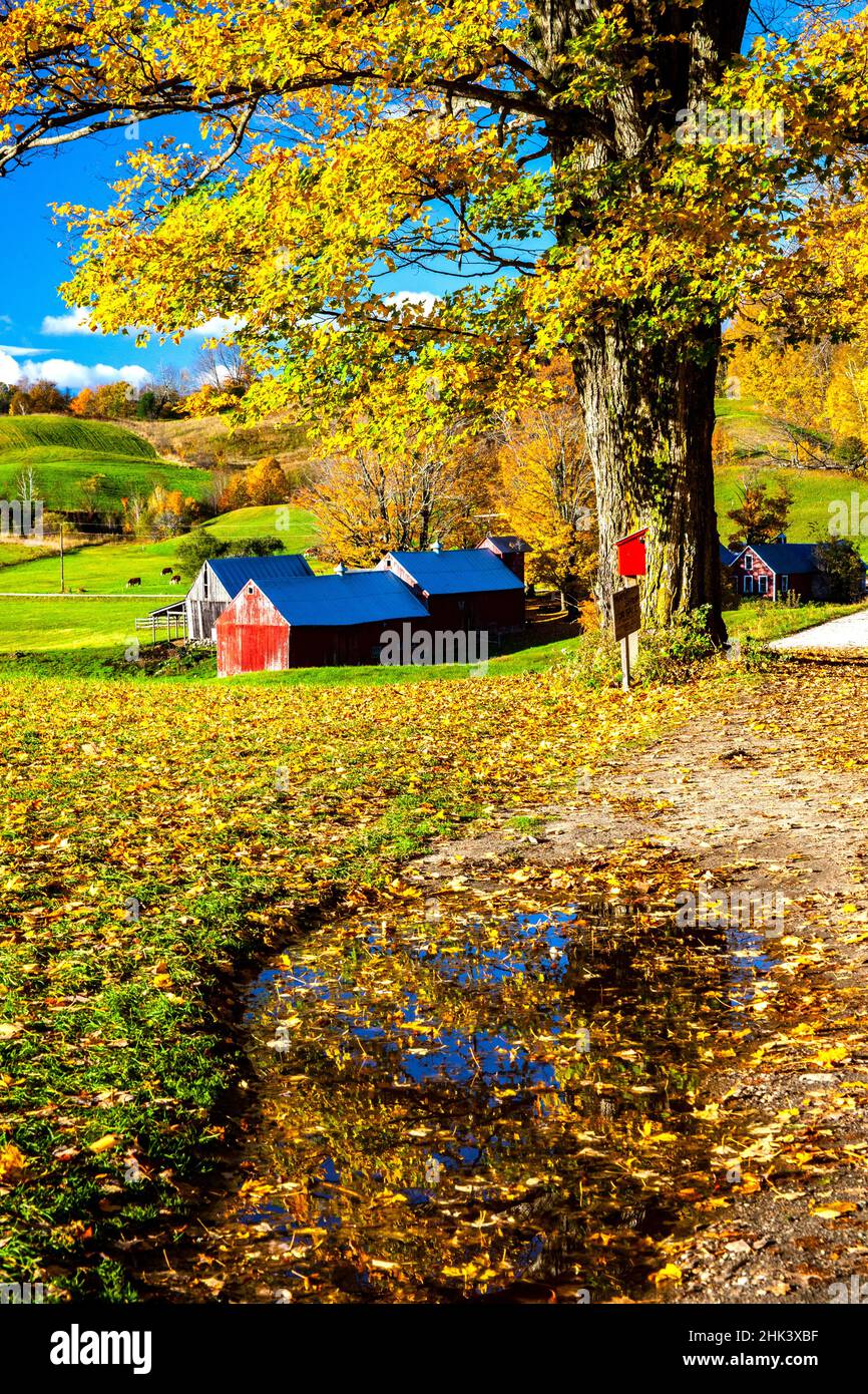 Vermont barns hi-res stock photography and images - Alamy
