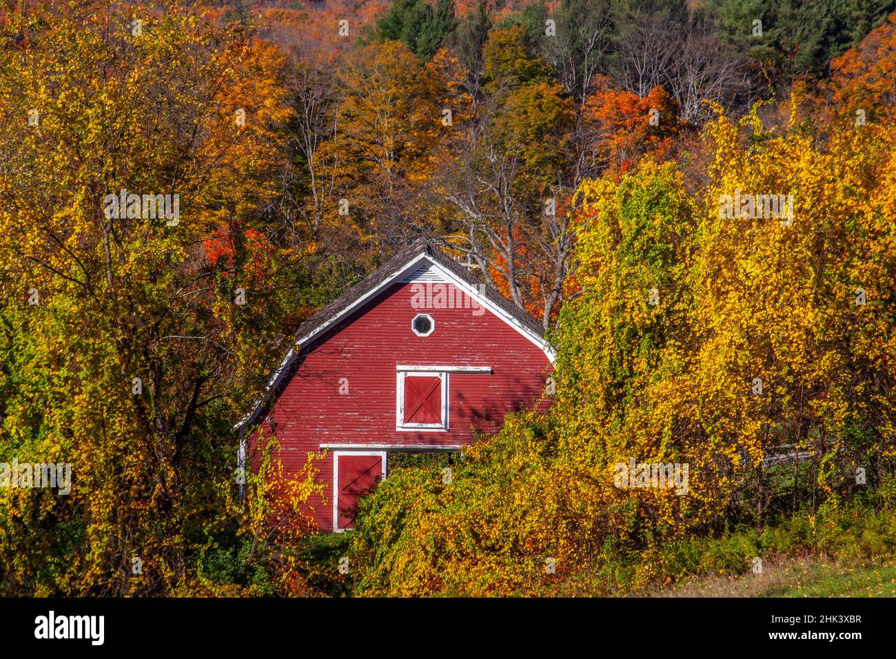 Sugar maple tree in autumn vermont usa hi-res stock photography and ...