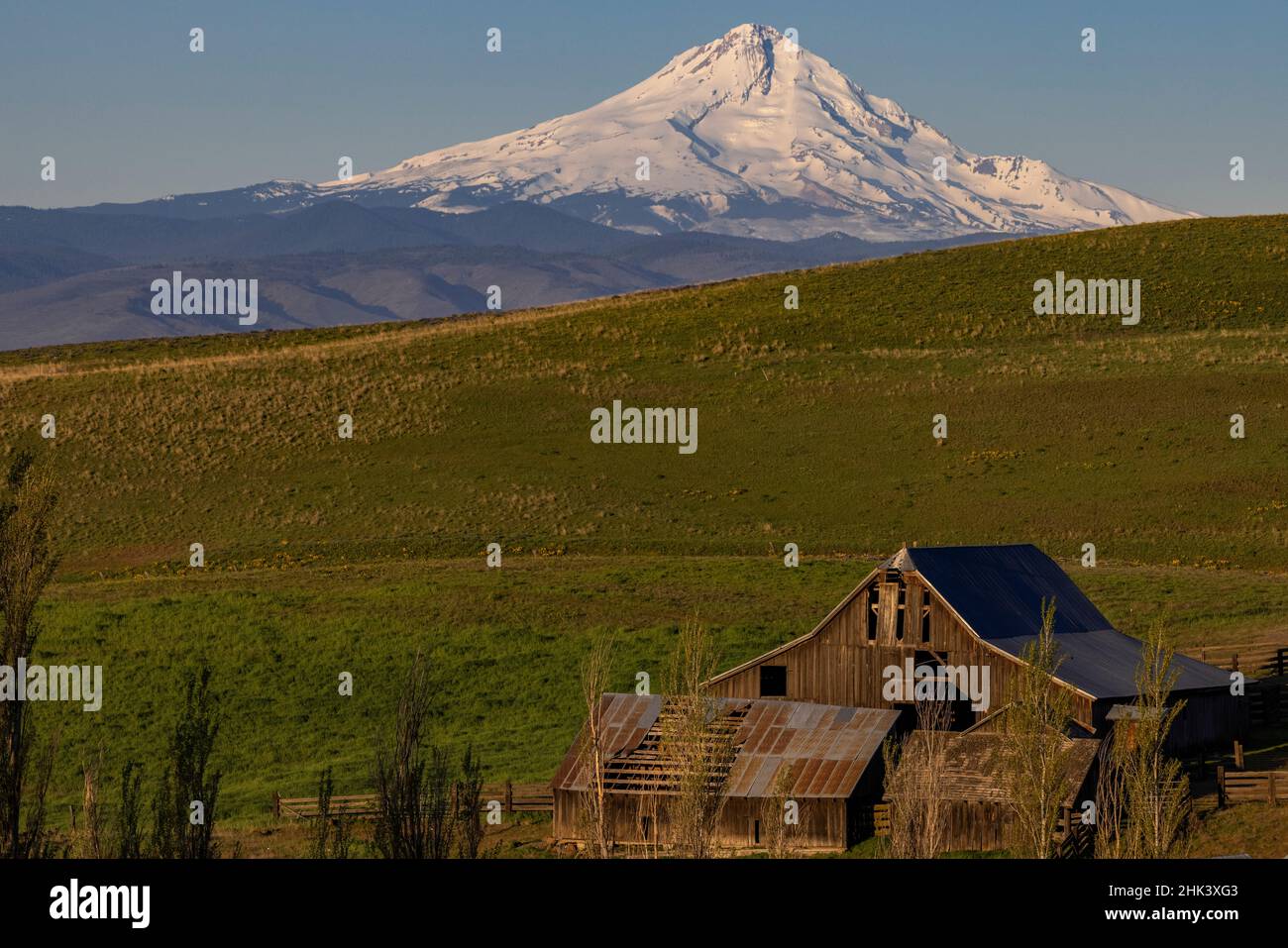 Historic Crawford Ranch barn with spring wildflowers in full bloom at ...