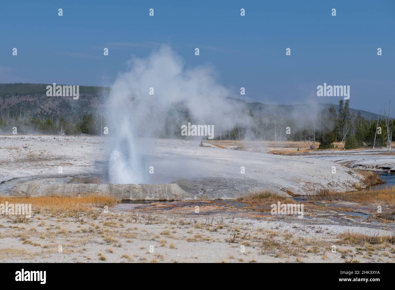 USA, Wyoming, Yellowstone National Park. Black Sand Basin, Cliff Geyser ...