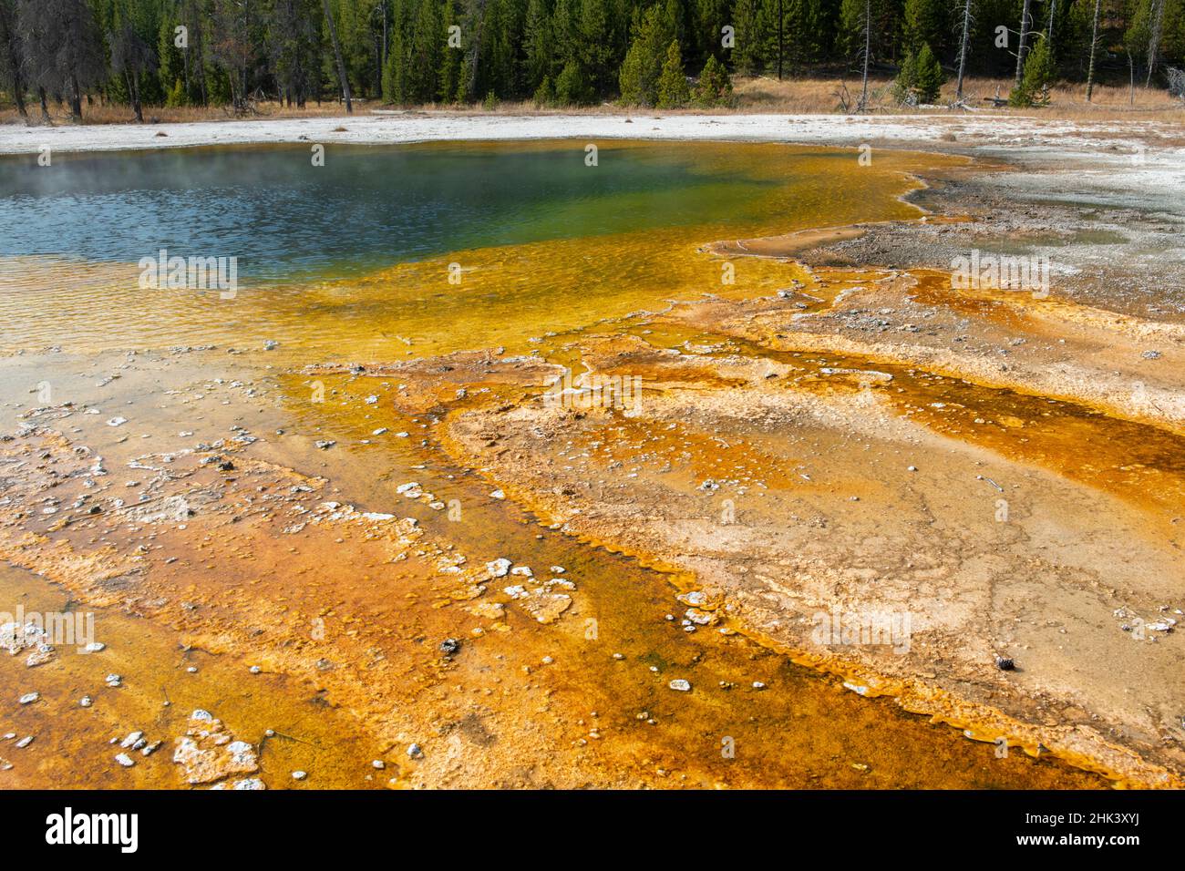 USA, Wyoming, Yellowstone National Park, Black Sand Basin, Emerald Pool ...