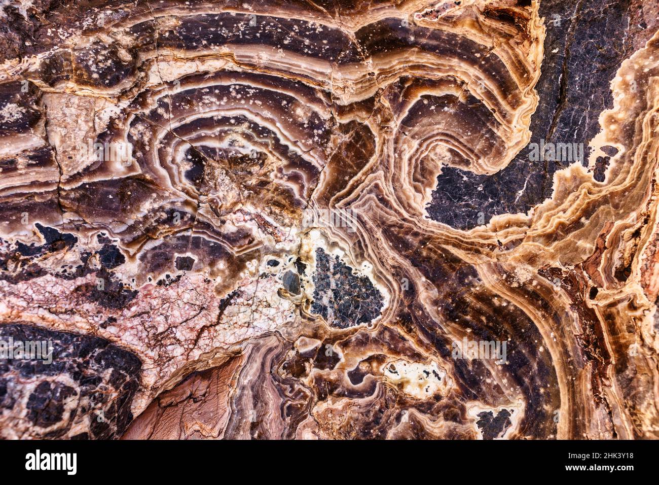 Titus Canyon, Death Valley Stock Photo - Alamy