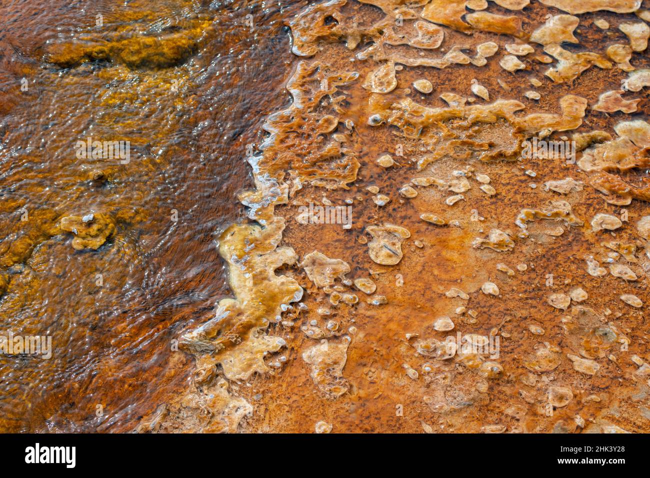 USA, Wyoming, Yellowstone National Park, West Thumb Geyser Basin, Black ...