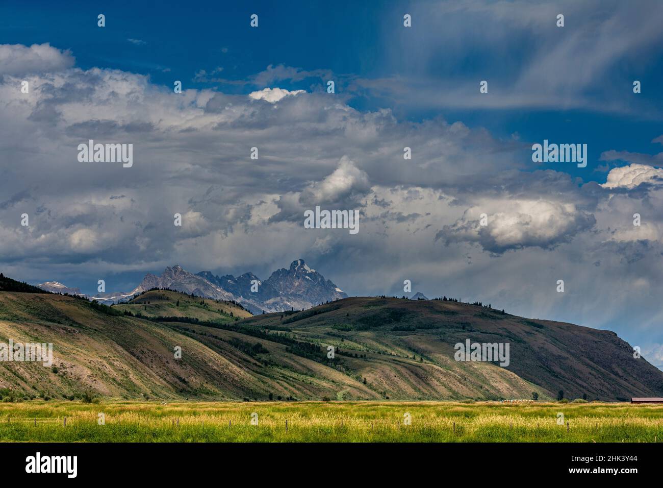 USA, Wyoming. Agricultural field in foreground of Grand Teton Stock ...