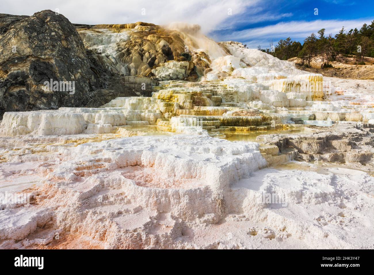 Travertine terraces at Minerva Spring, Mammoth Hot Springs, Yellowstone ...