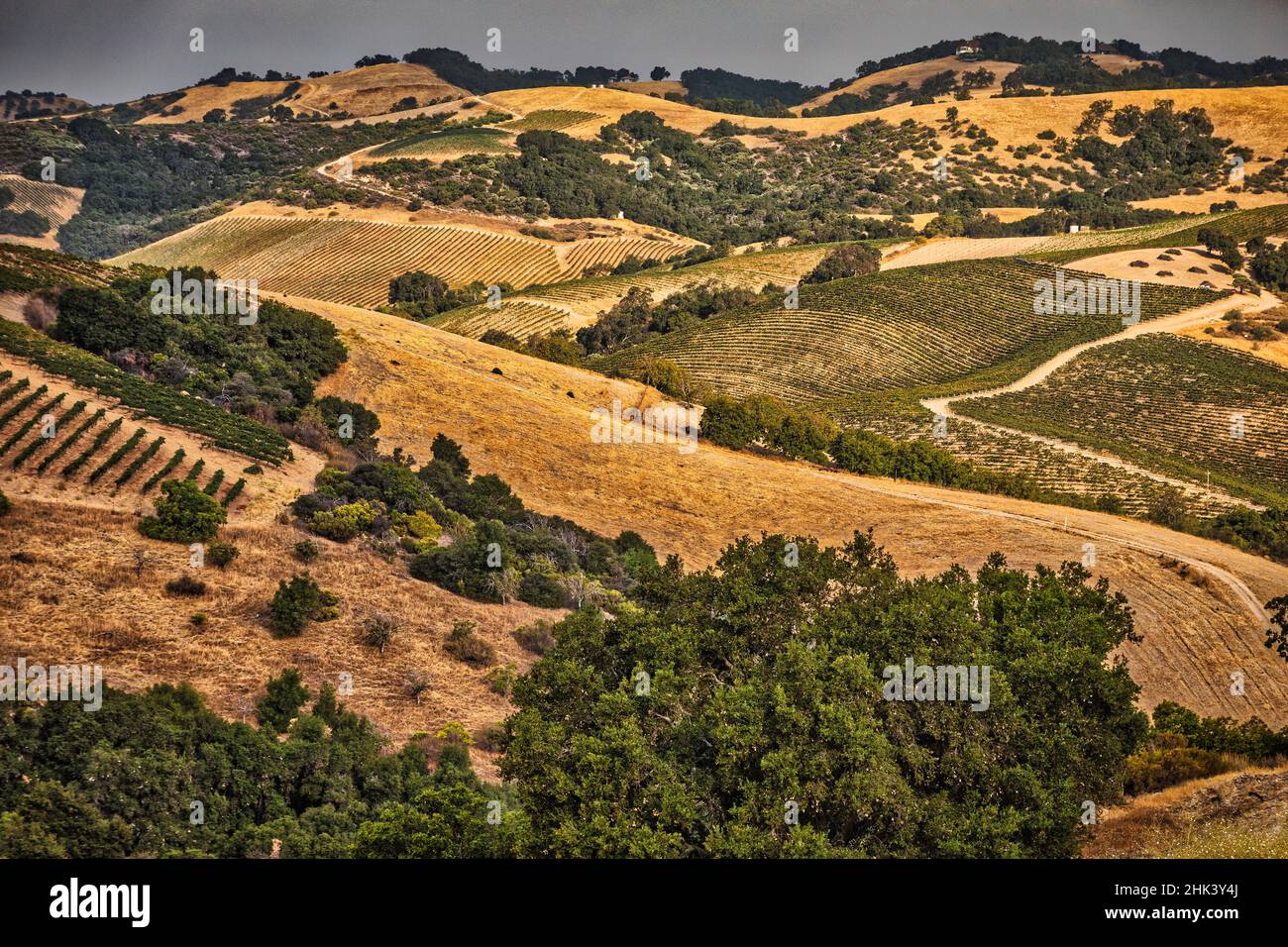 Paso robles vineyards hi-res stock photography and images - Alamy