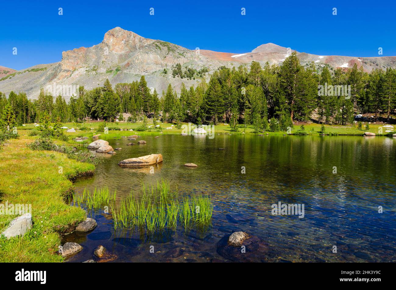 Alpine tarn in Dana Meadows under Mount Dana,Tuolumne Meadows, Yosemite ...