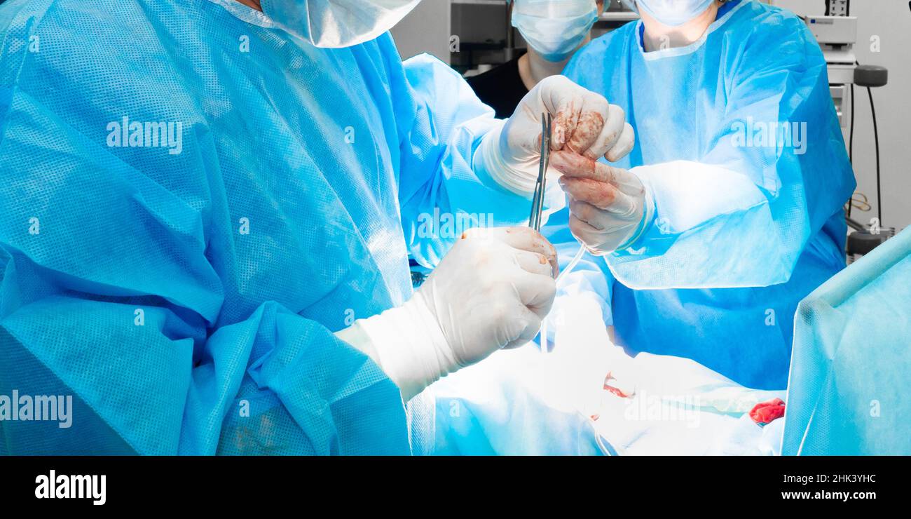 Interaction of hands of surgeons during surgery. Selective focus. The ...