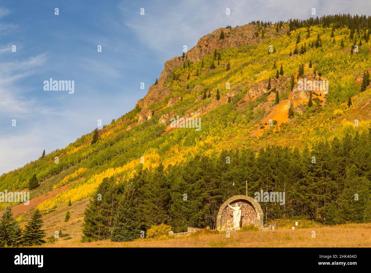 USA, Colorado, Gunnison National Forest. Aspen forest in autumn. Credit ...