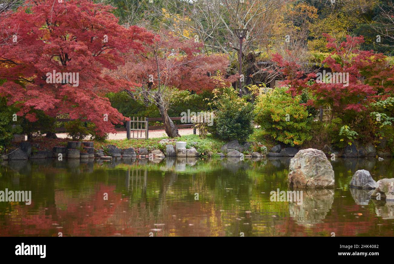 Gate fence autumn in hi-res stock photography and images - Alamy