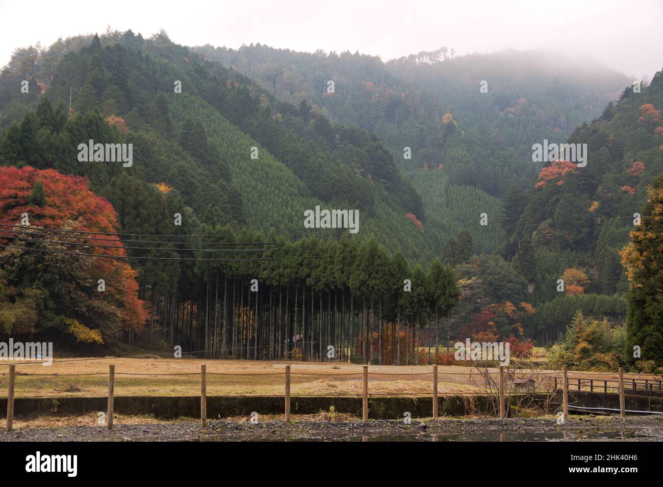 Japan gate mountains trees hi-res stock photography and images - Alamy