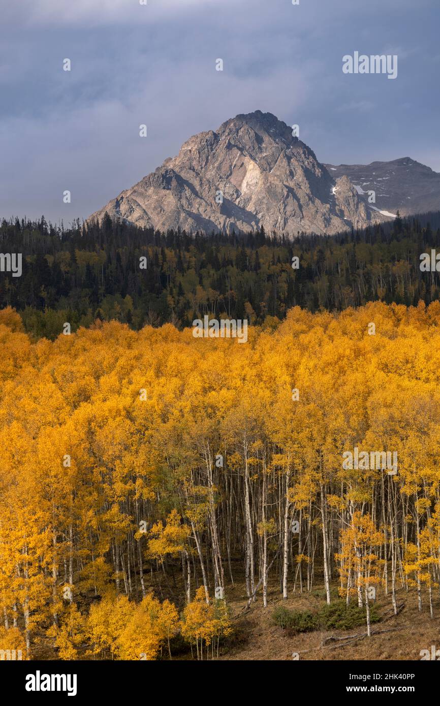 USA, Colorado, Gore Range. Sunrise on mountain and aspen trees Stock ...