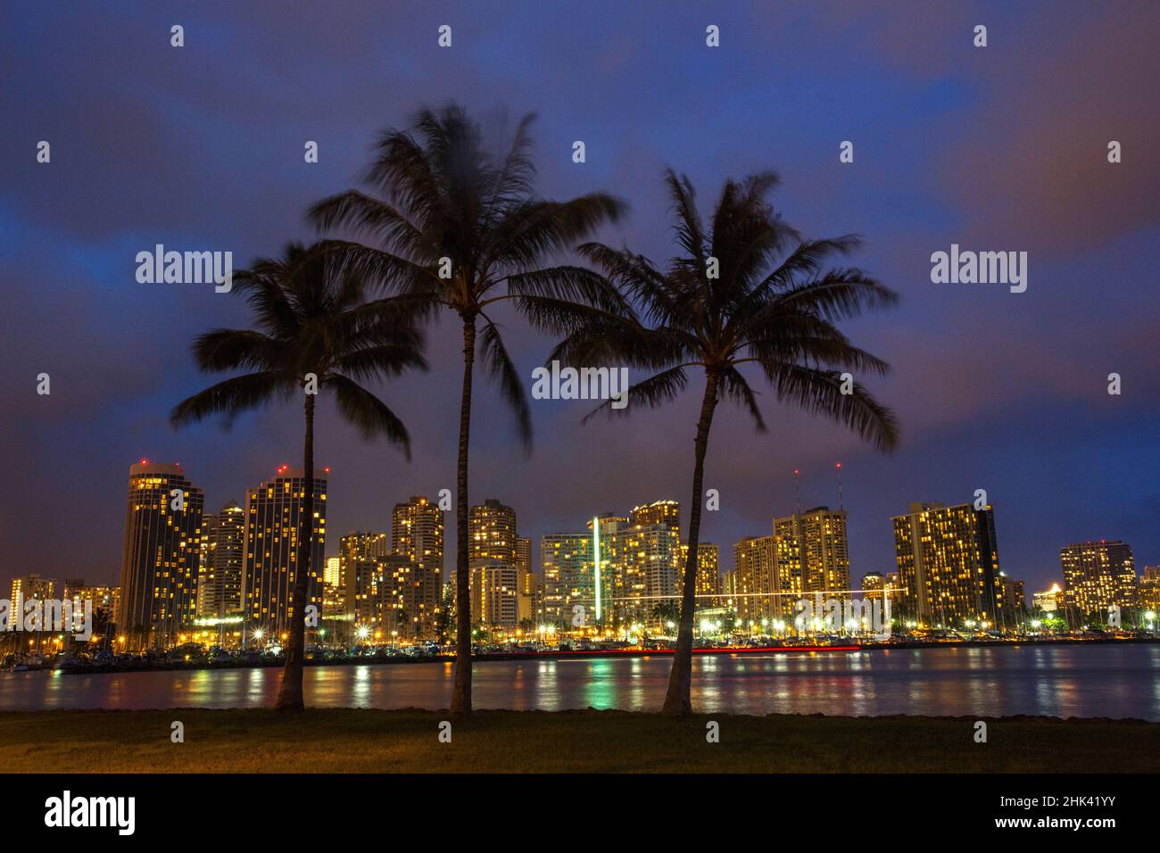 USA;Hawaii;Honolulu;Palm Trees with the night lights of Honolulu Stock ...
