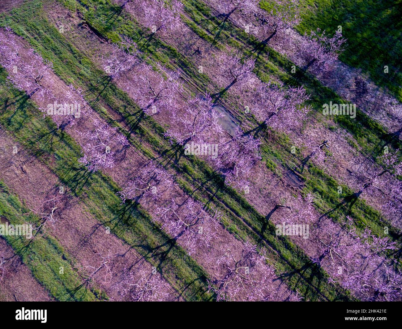 Richard orchard hi-res stock photography and images - Alamy