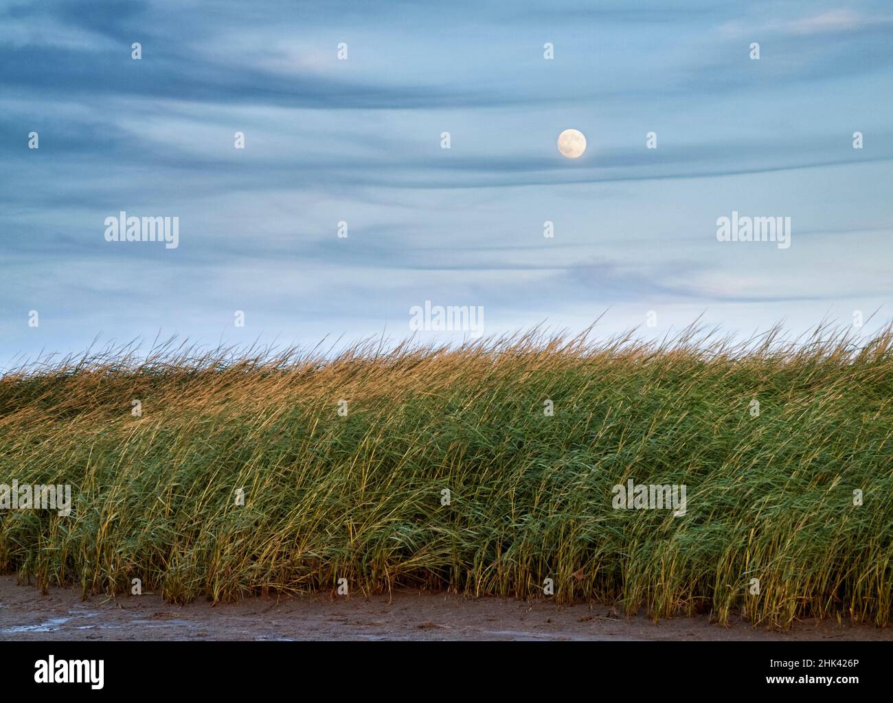 USA, Massachusetts, Cape Cod, Full moon rising at First Encounter Beach ...