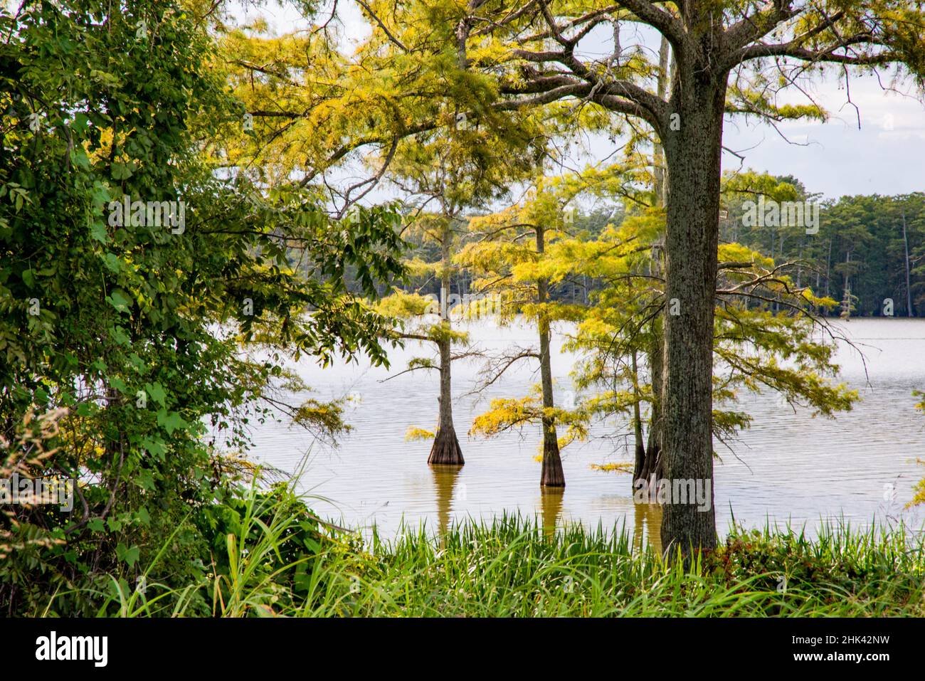 Yazoo river basin hi-res stock photography and images - Alamy