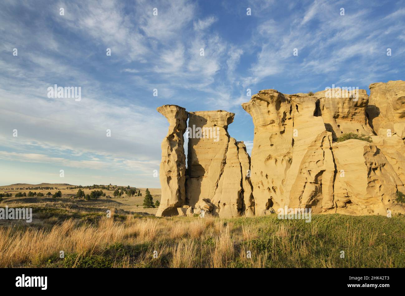 USA, Montana. Sandstone pillars or 'hoodoos' rising from the prairie ...