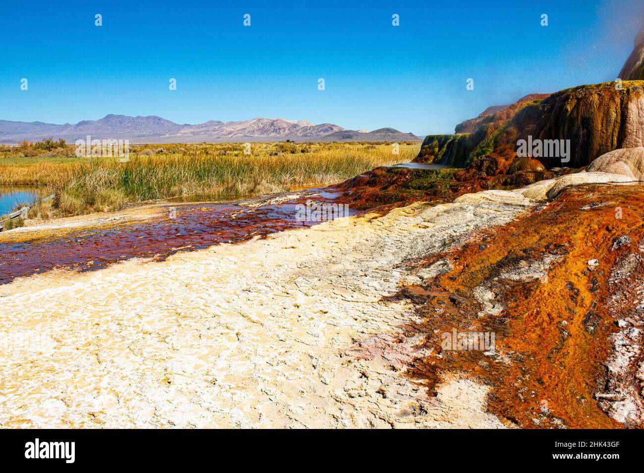 USA, Nevada, Black Rock Desert, Fly Geyser a rainbow of colors Stock ...