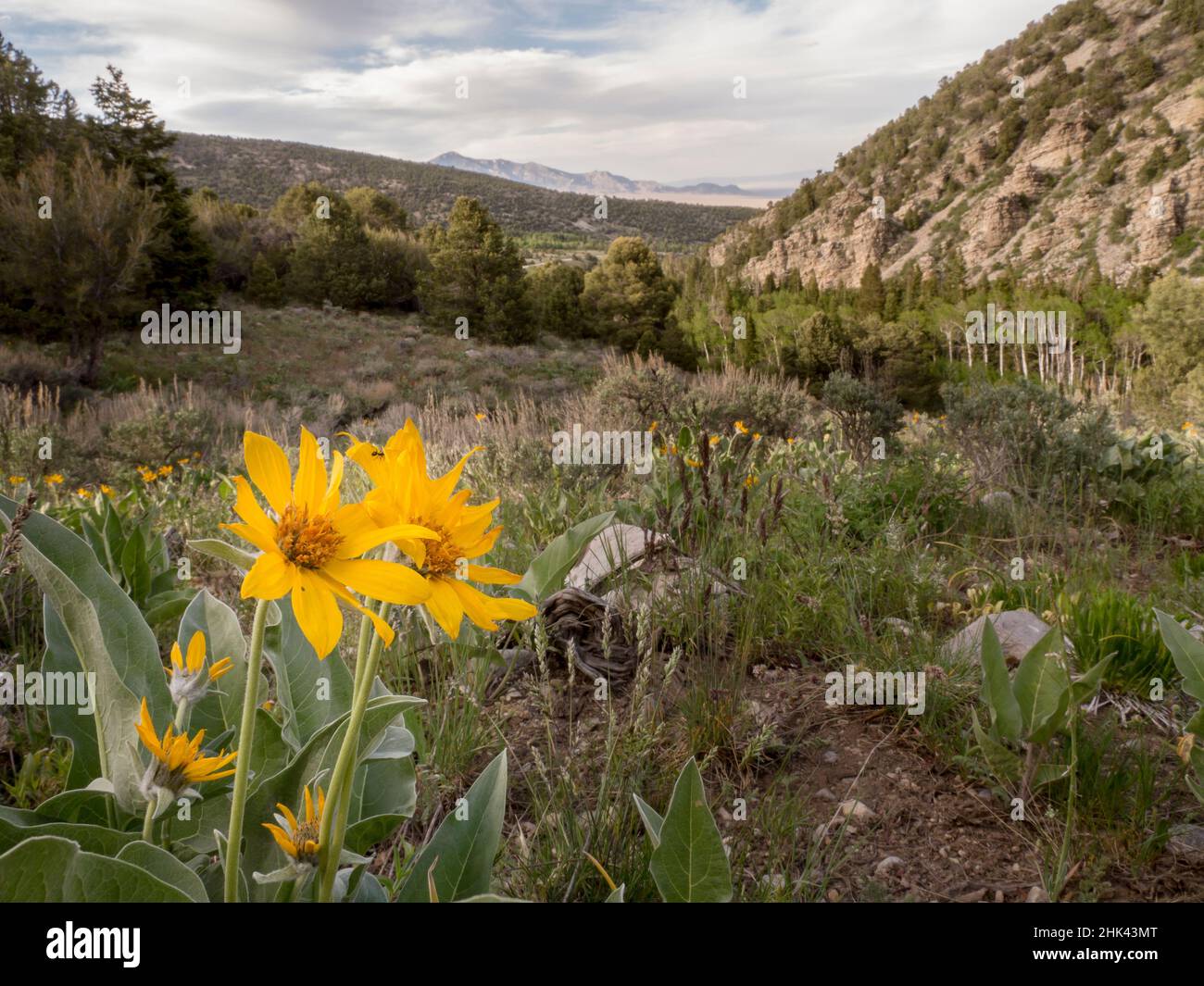 Rob sheppard hi-res stock photography and images - Alamy