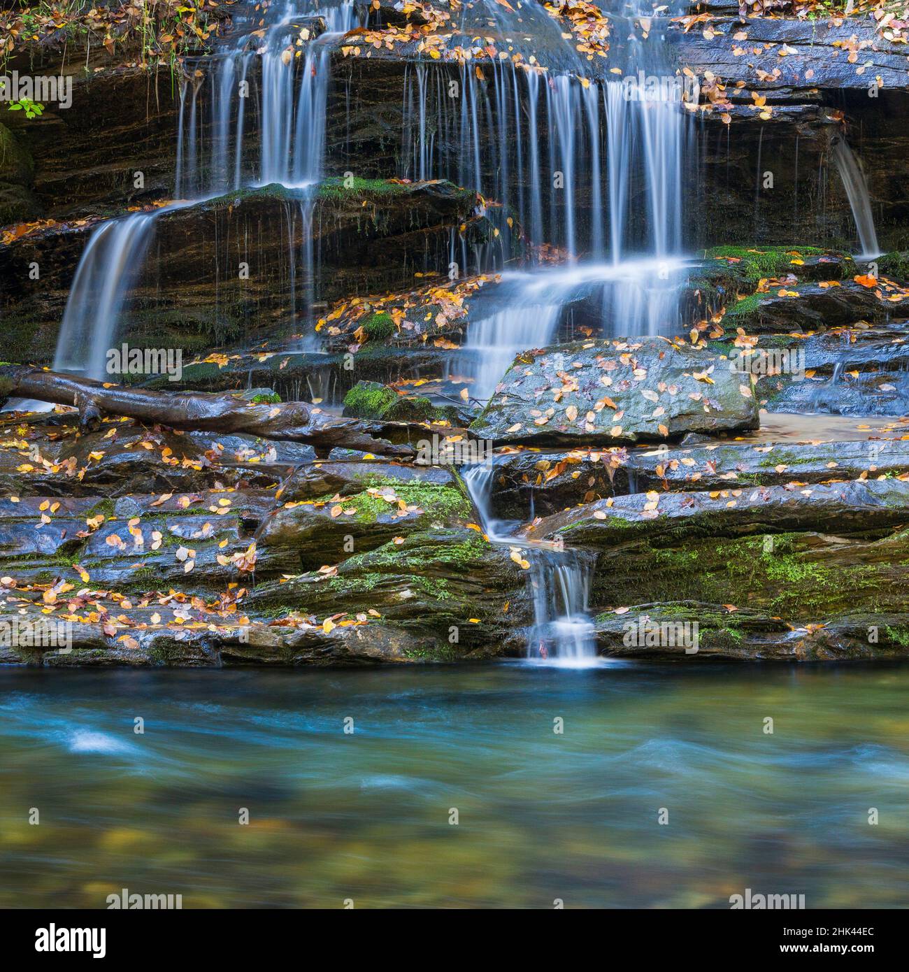 Tom branch falls hi-res stock photography and images - Alamy