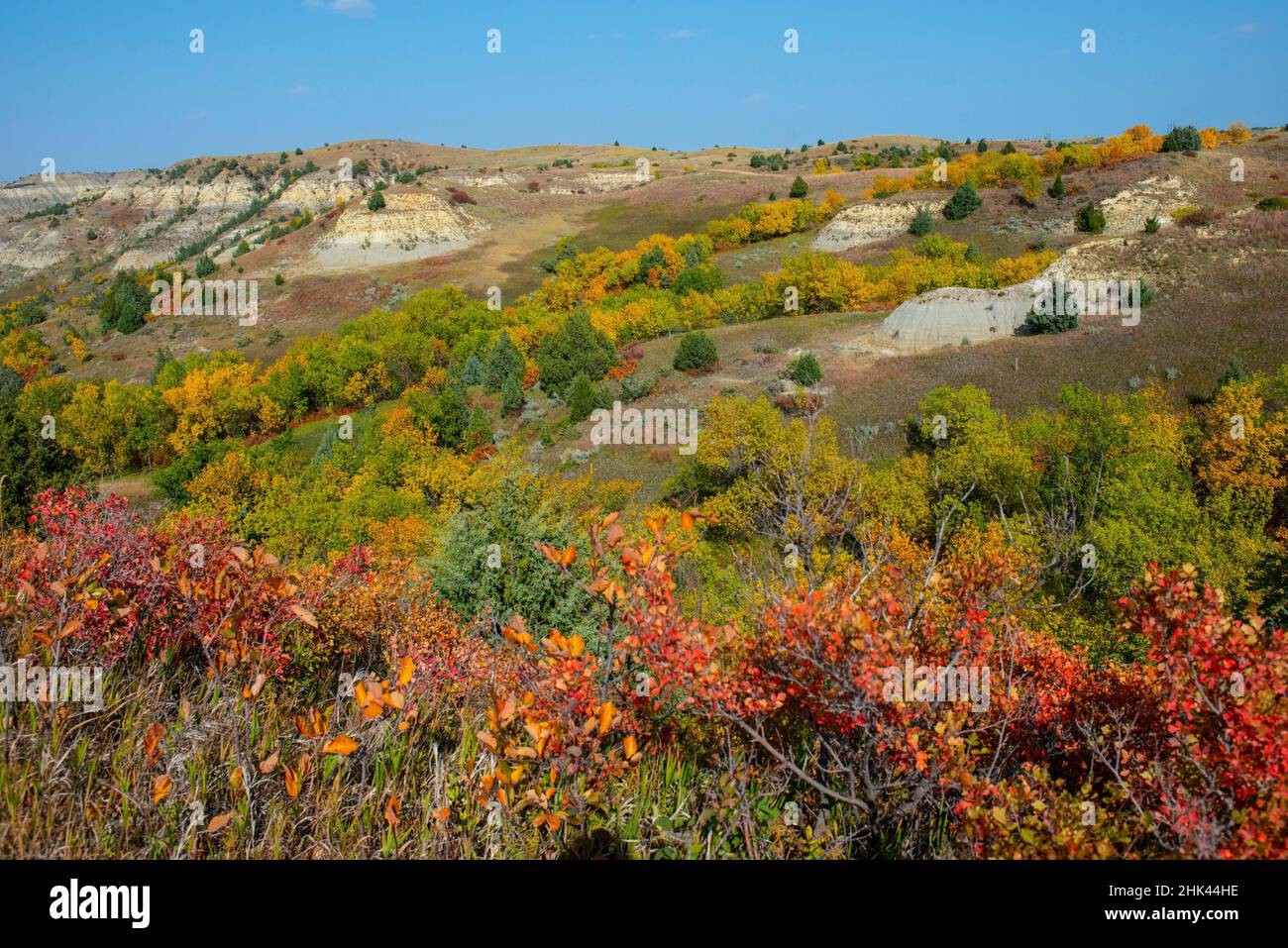 Watford city hi-res stock photography and images - Alamy