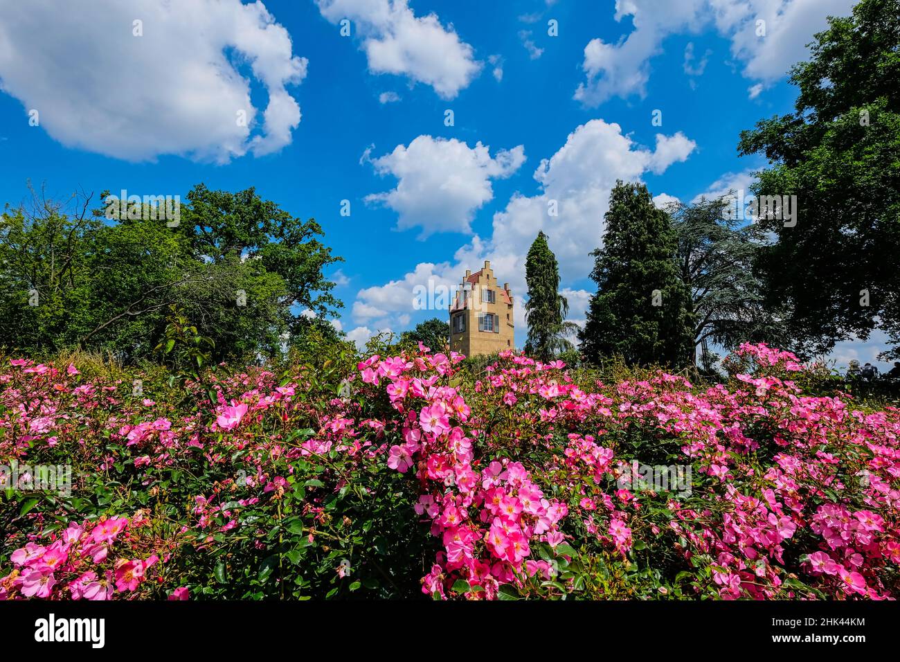 Ancient spanish tower on bright summer day among pink roses Stock Photo ...