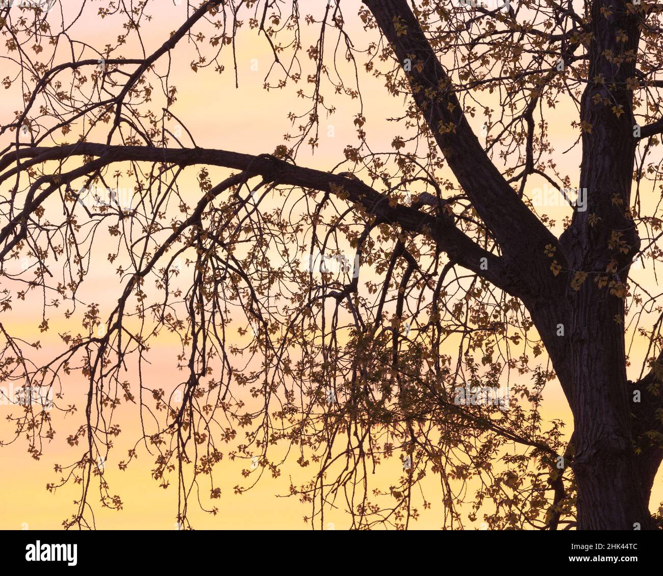 USA, Ohio. Springtime on Lake Erie Stock Photo - Alamy