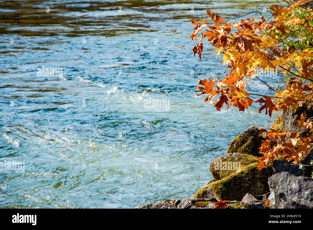 USA, Oregon. Willamette River Basin, McKenzie River confluence with the ...