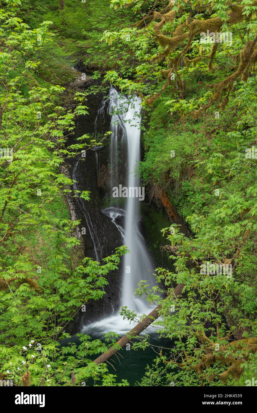 Butte falls hi-res stock photography and images - Alamy