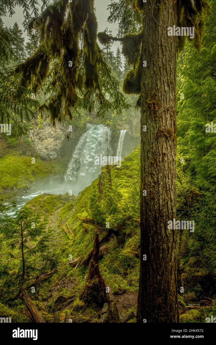 USA, Oregon, Sisters. Sahalie Falls and McKenzie River landscape ...